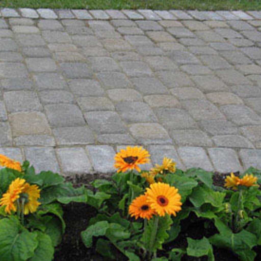 Old Dominion Concrete Paving Stones | BC Brick